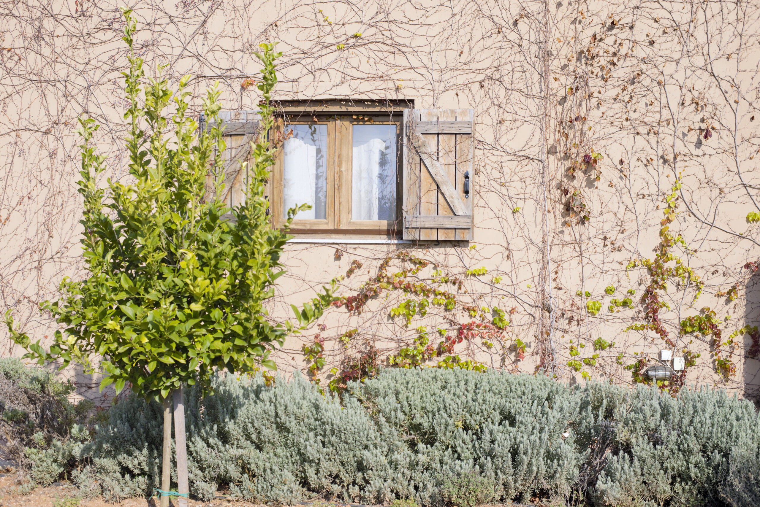 Follow the journey of Greek food through a farm-to-table experience ...